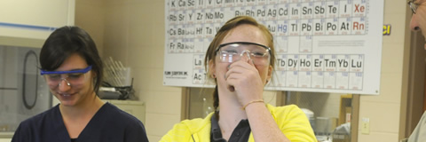 Smart Choice powered by SchoolMint®